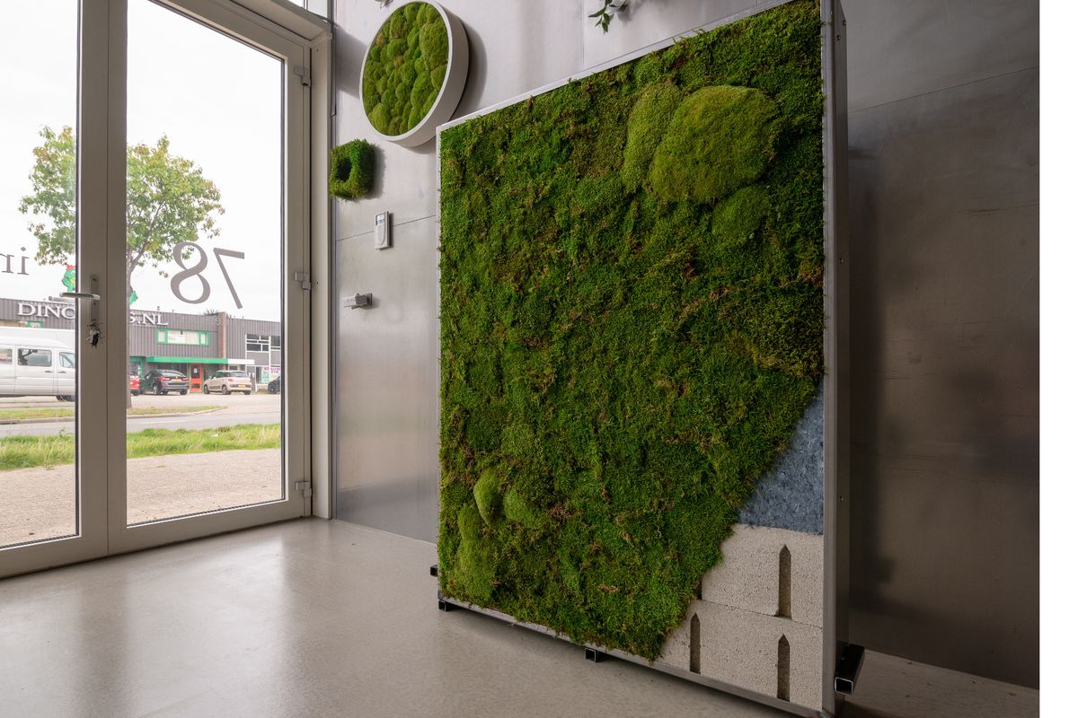 Soundless Green Wall display | ArchitectenPunt